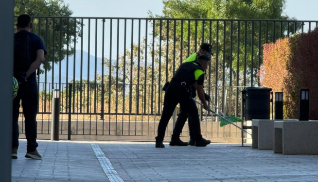 Aparece una serpiente de metro y medio en la piscina de un residencial ...